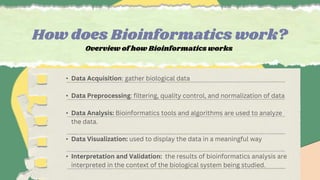 BIOINFORMATICS-REPORT.pptx