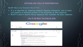 Bioinformatics Introduction and Use of BLAST Tool | PPTX