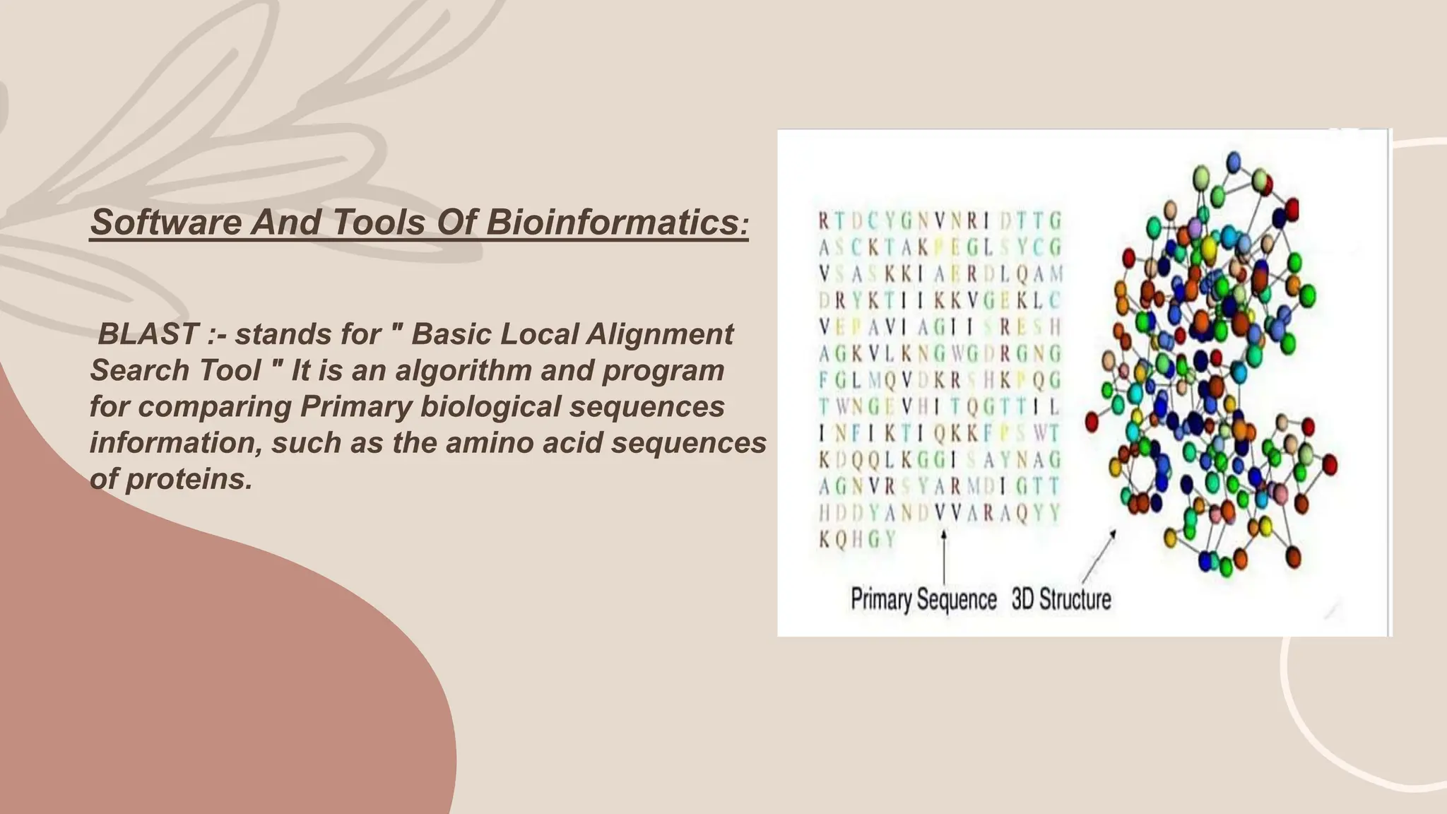 A study of bioinformatics And Cheminformatics | PPTX | Chemistry | Science