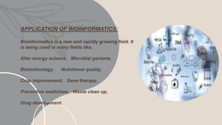 A study of bioinformatics And Cheminformatics | PPTX