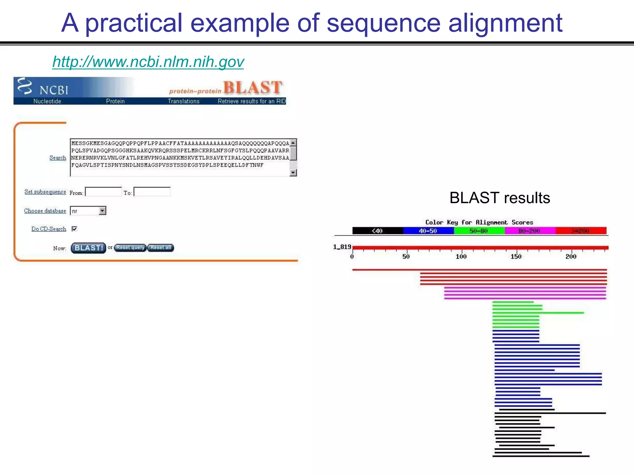 Bioinformatics_1_ChenS.pptx | Databases | Computer Software and Applications
