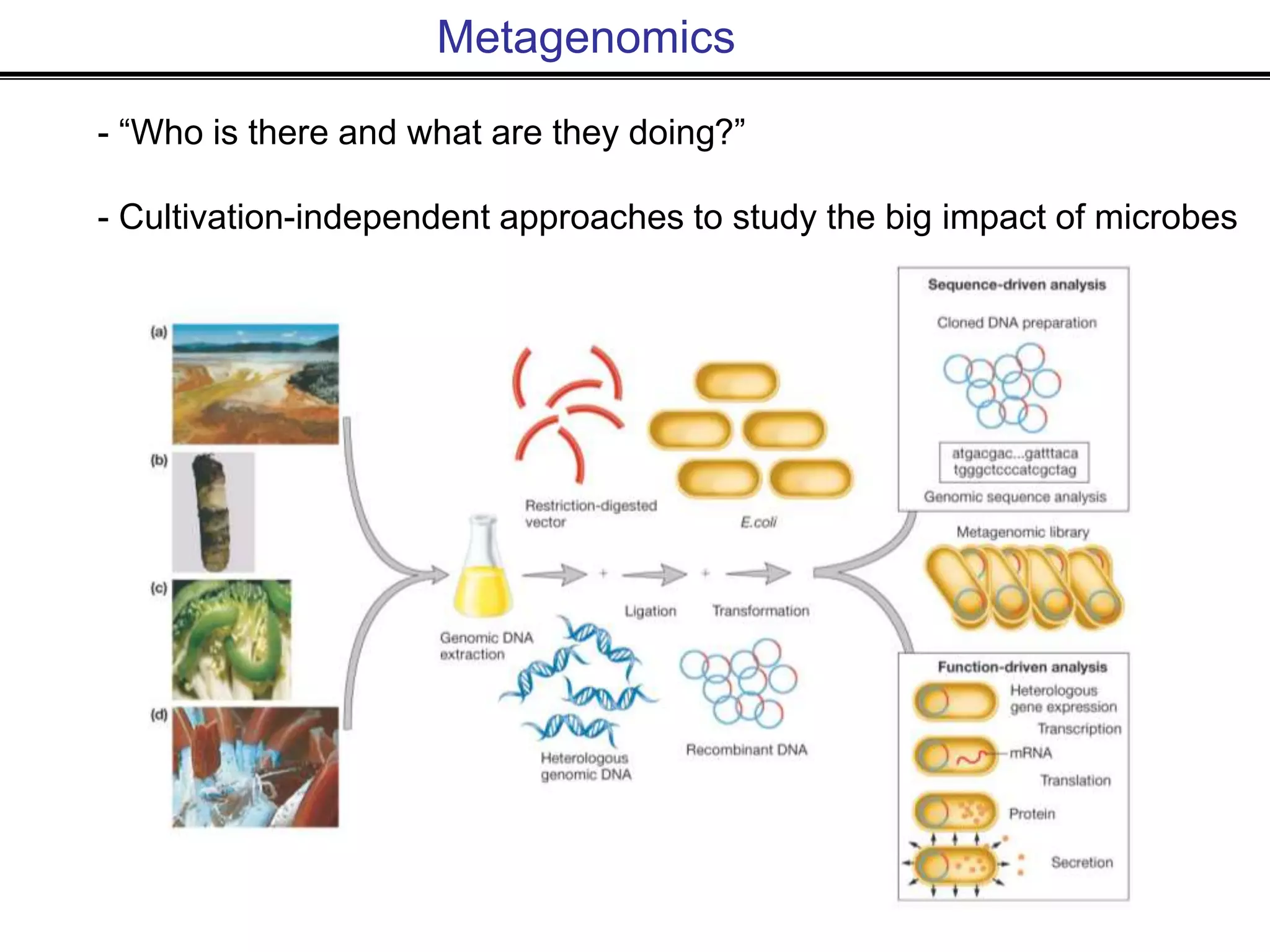 Bioinformatics_1_ChenS.pptx | Databases | Computer Software and Applications