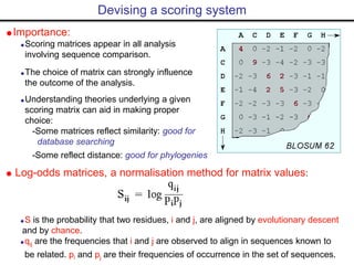 Bioinformatics_1_ChenS.pptx