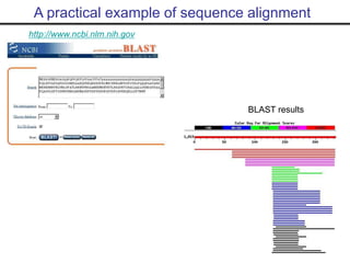 Bioinformatics_1_ChenS.pptx | Databases | Computer Software and ...