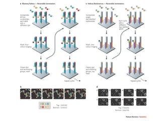 Bioinformatics_1_ChenS.pptx | Databases | Computer Software and Applications