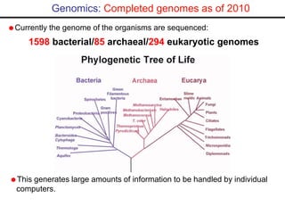 Bioinformatics_1_ChenS.pptx | Databases | Computer Software and Applications