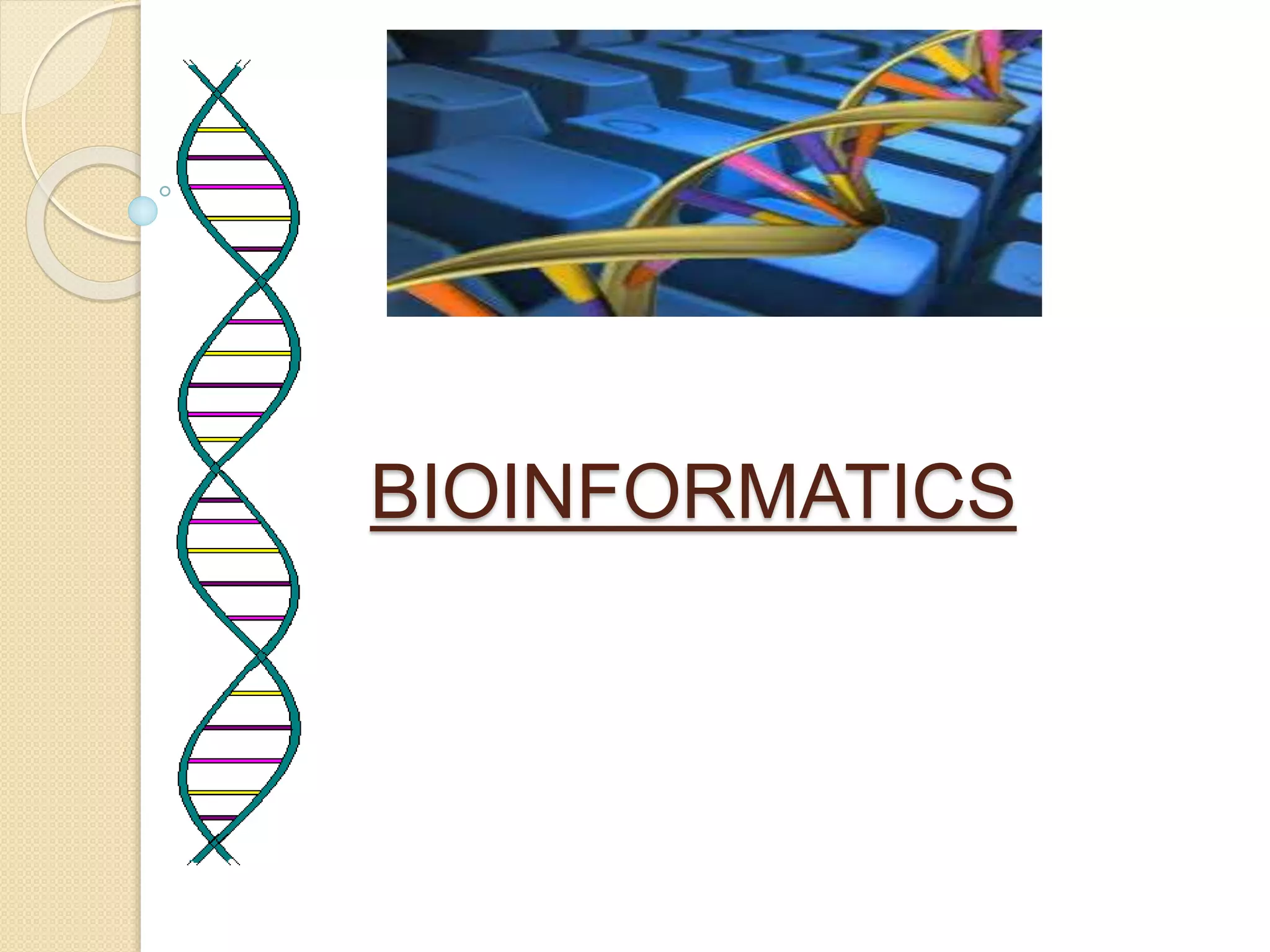 Uses of Artificial Intelligence in Bioinformatics | PPTX