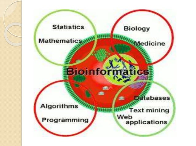 Uses of Artificial Intelligence in Bioinformatics | PPTX