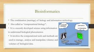 Basics Of Bioinformatics .pptx