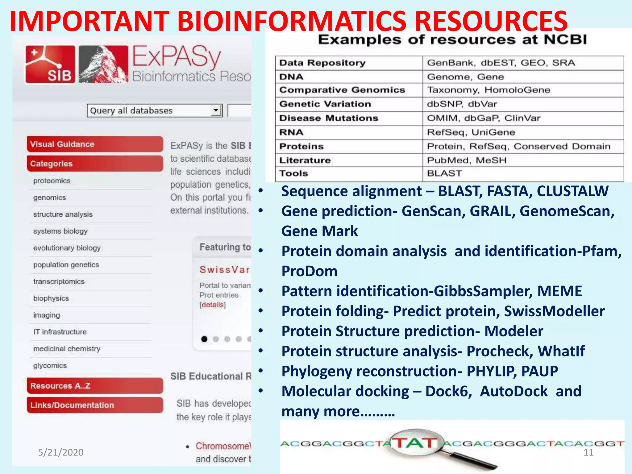 Bioinformatics Applications And Challenges Ppt