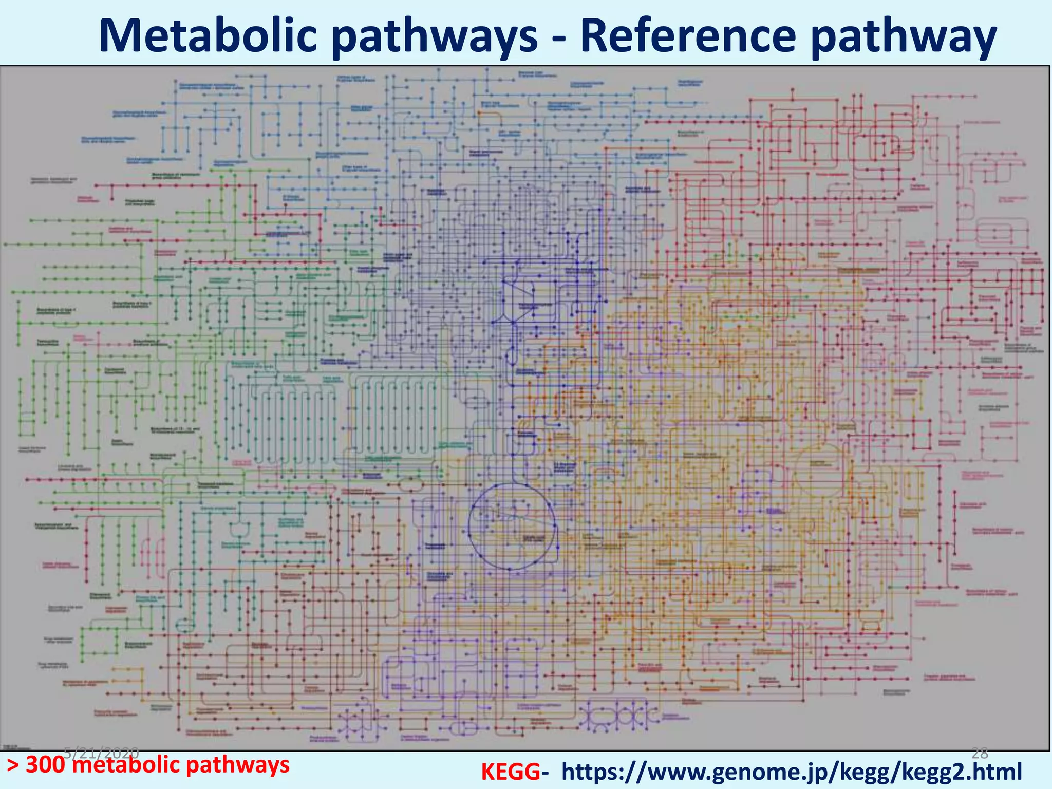 Bioinformatics Applications And Challenges Ppt
