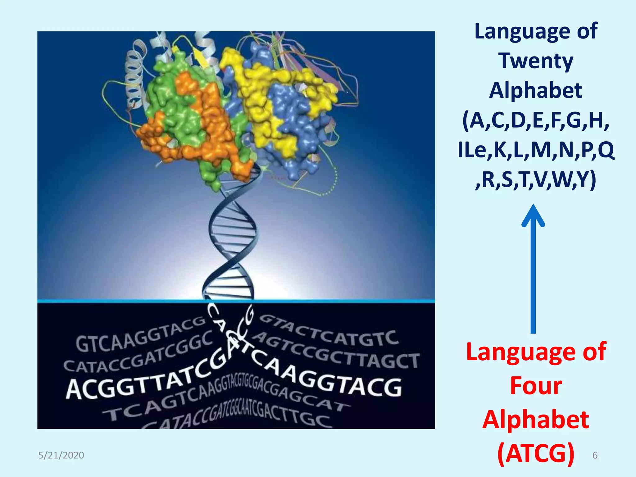 Bioinformatics Applications And Challenges Ppt