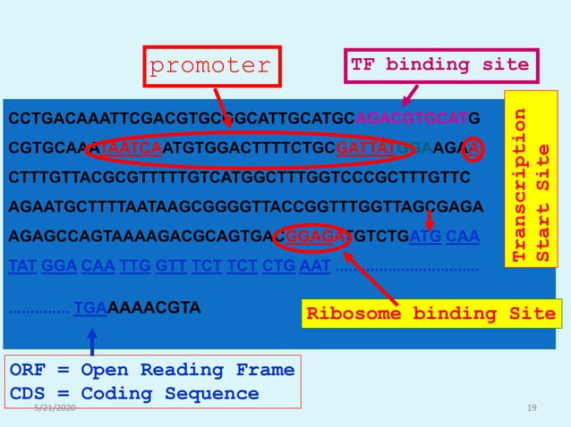 Bioinformatics applications and challenges | PPT