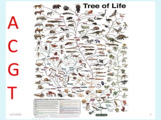 Bioinformatics applications and challenges | PPT