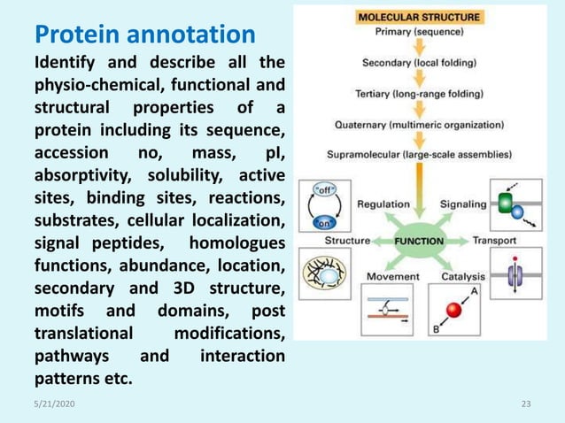 Bioinformatics applications and challenges | PPT