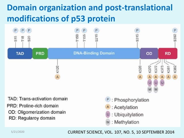 Bioinformatics applications and challenges | PPT