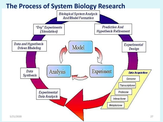 Bioinformatics Applications And Challenges Ppt