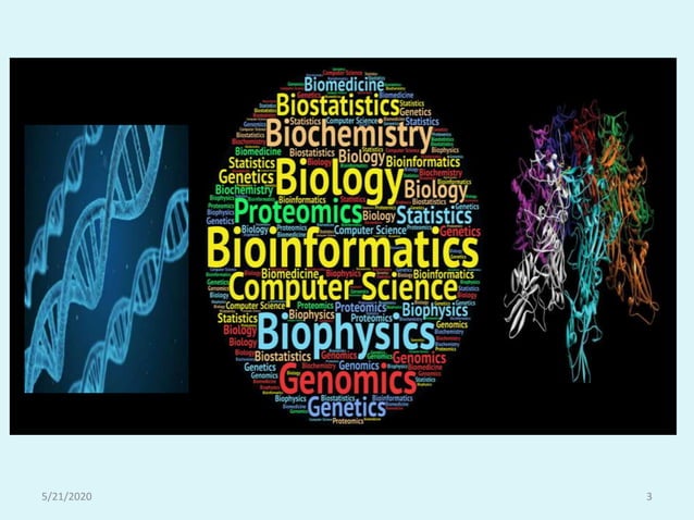 Bioinformatics applications and challenges | PPT