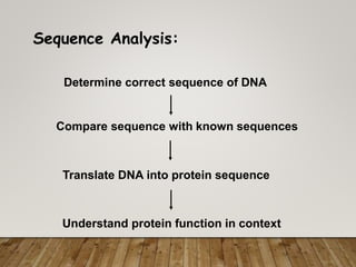 Bioinformatics | PPT