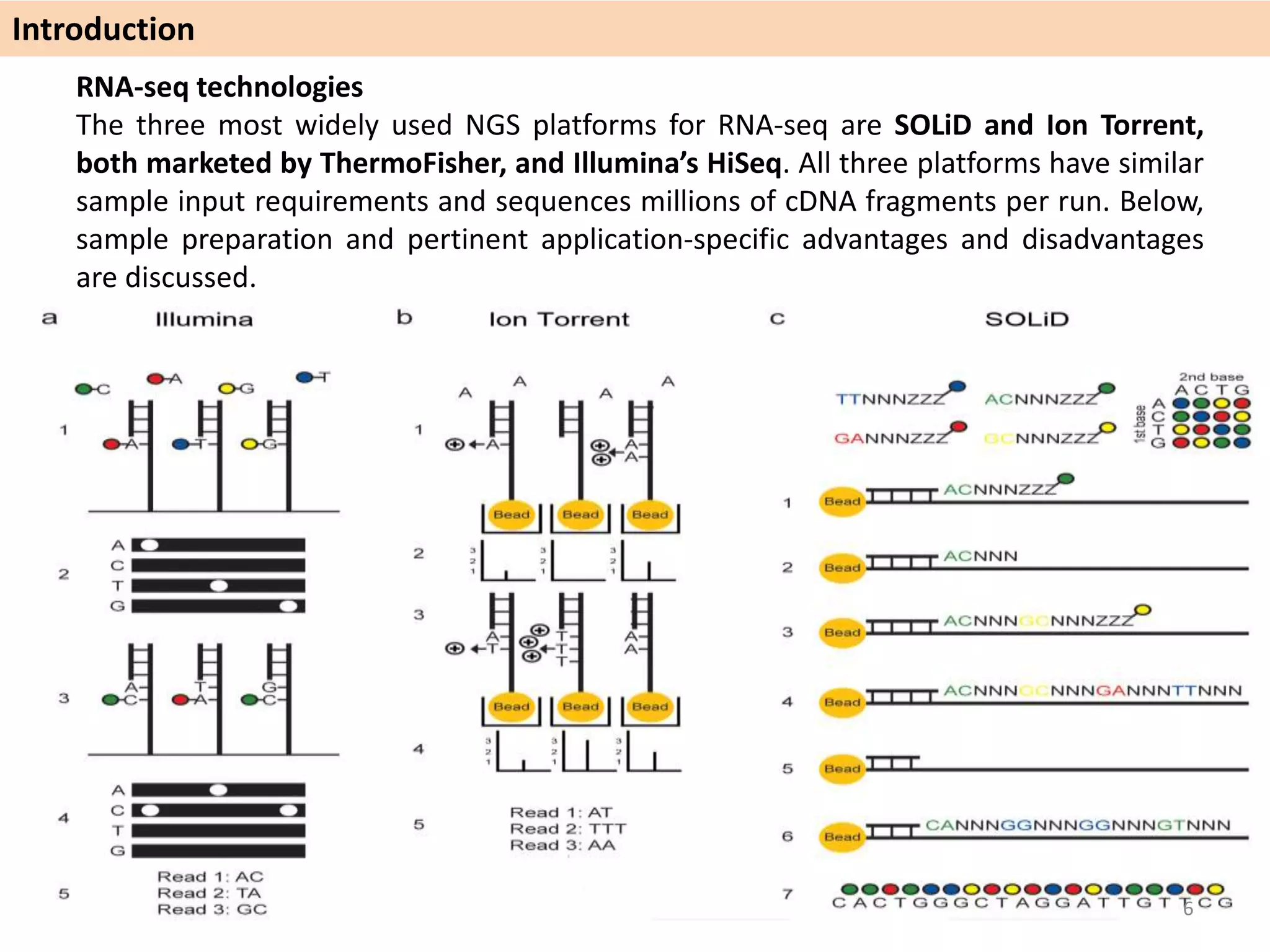 Bioinformatics class ppt arifuzzaman | PPT