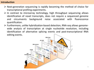Bioinformatics class ppt arifuzzaman | PPT