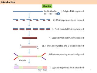 Bioinformatics class ppt arifuzzaman | PPT