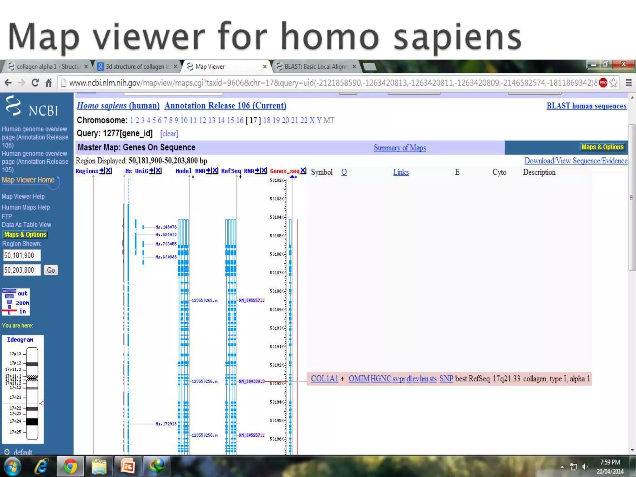 Bioinformatics(collagen alpha 1) | PPTX