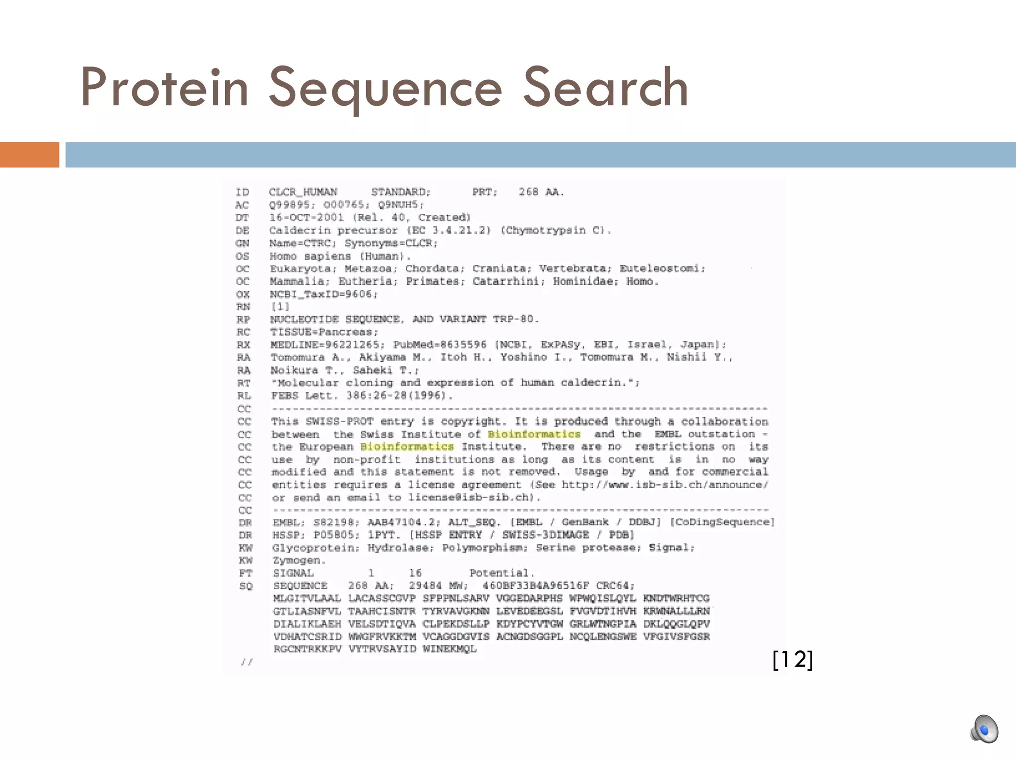 Bioinformatics Databases Ppt