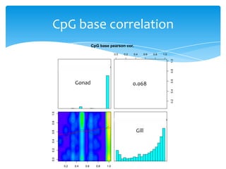 Bioinformatics Final Product claire | PPT