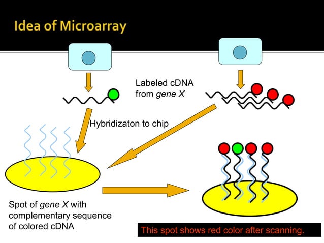 Bioinformatics group presentation | PPT