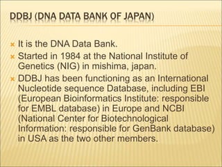 Bioinformatics in biotechnology by kk sahu | PPT