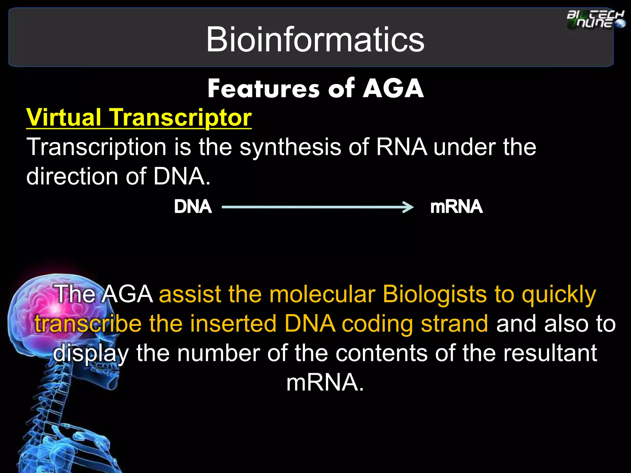 Bioinformatics introduction | PPT