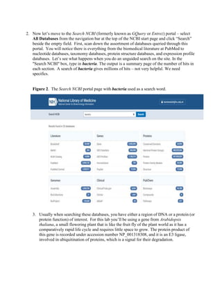 Bioinformatics Lab01.docx | Search | Internet