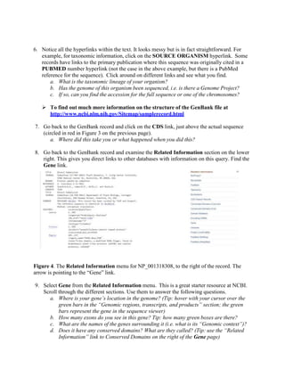 Bioinformatics Lab01.docx