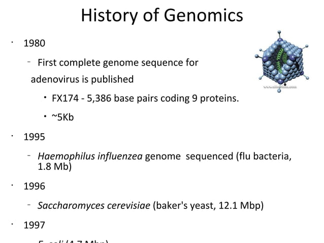 Bioinformatics lecture 1 | PPT | Genetics | Science
