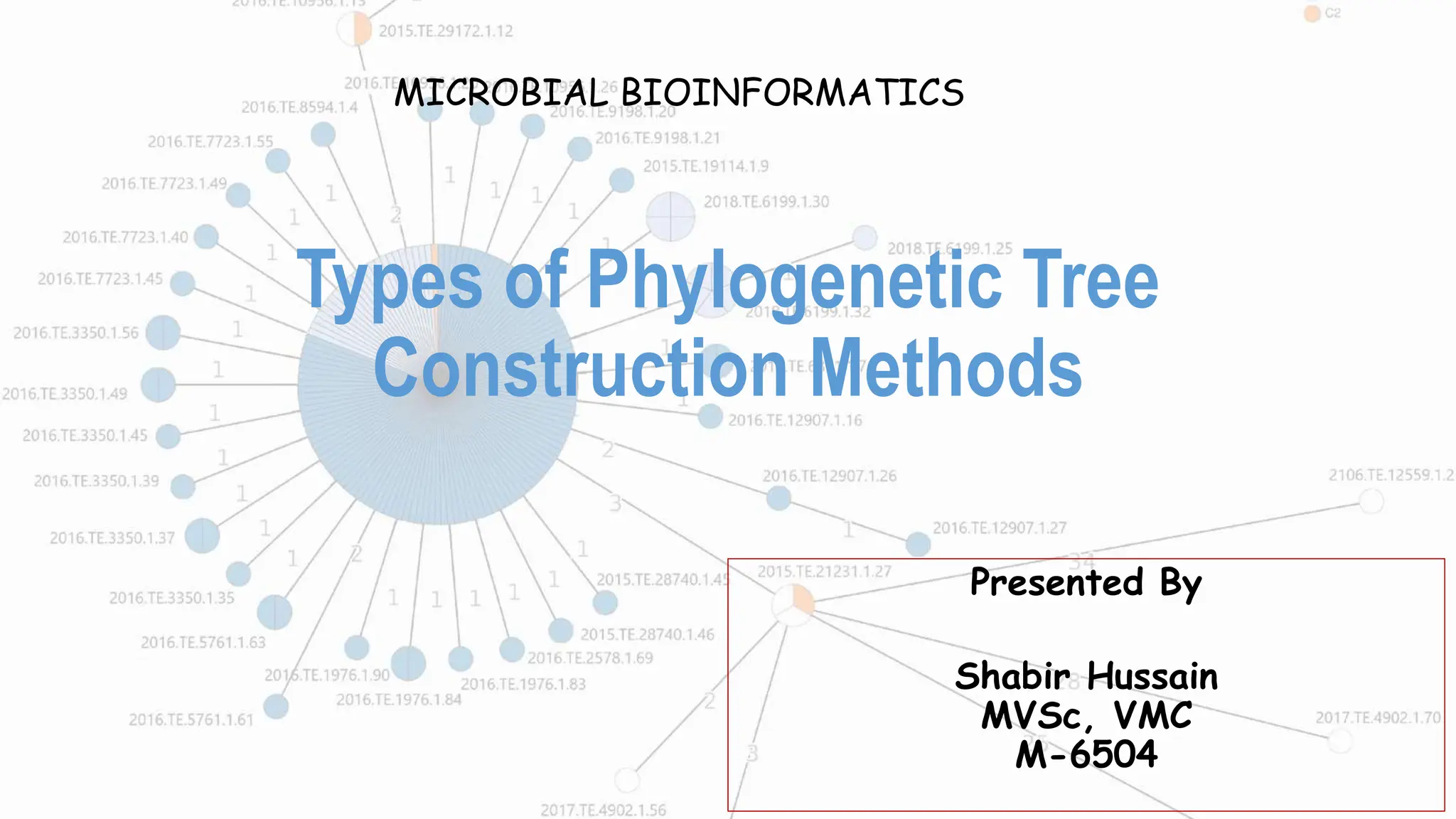 Bioinformatics presentation shabir .pptx