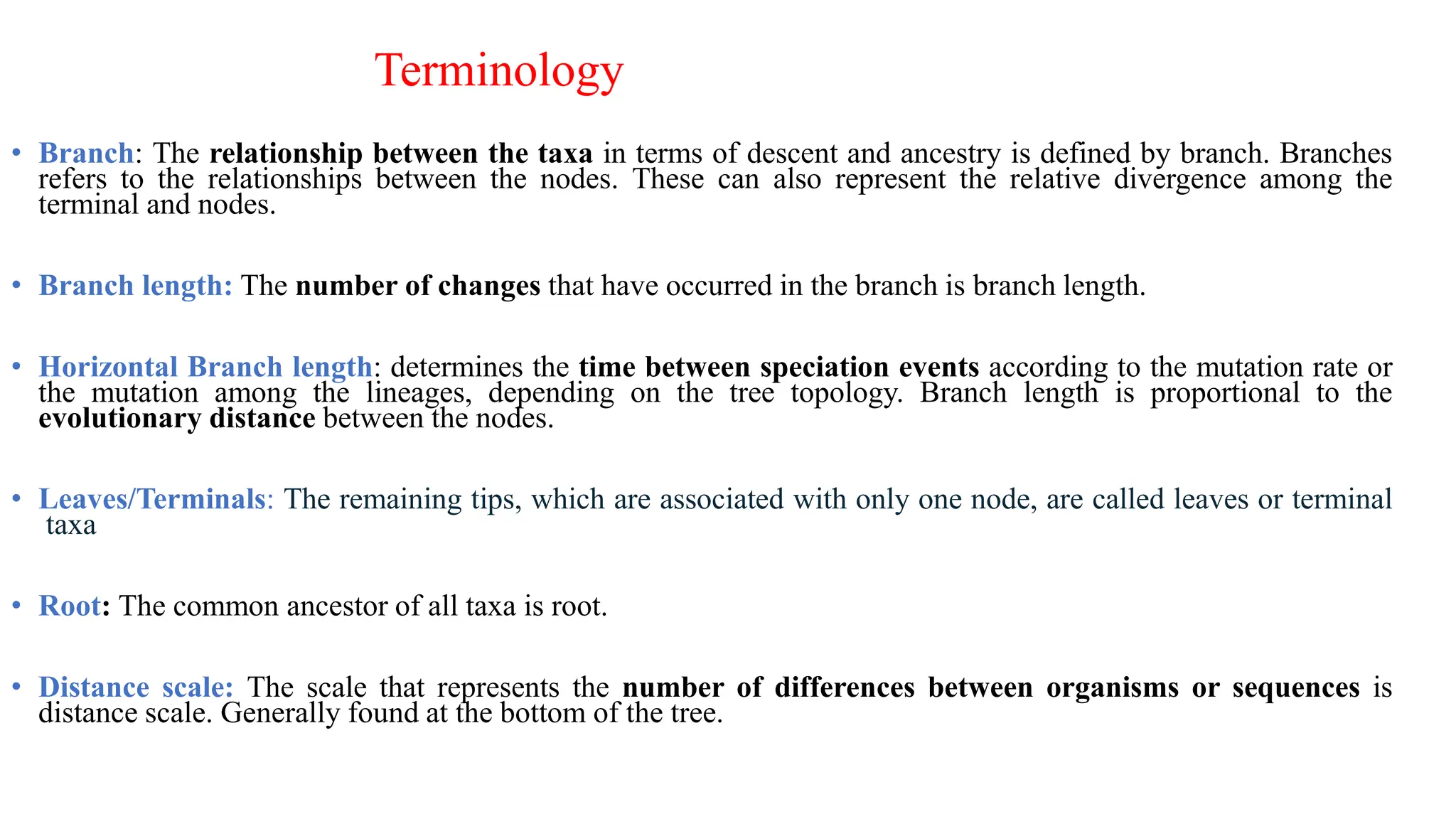 Bioinformatics presentation shabir .pptx