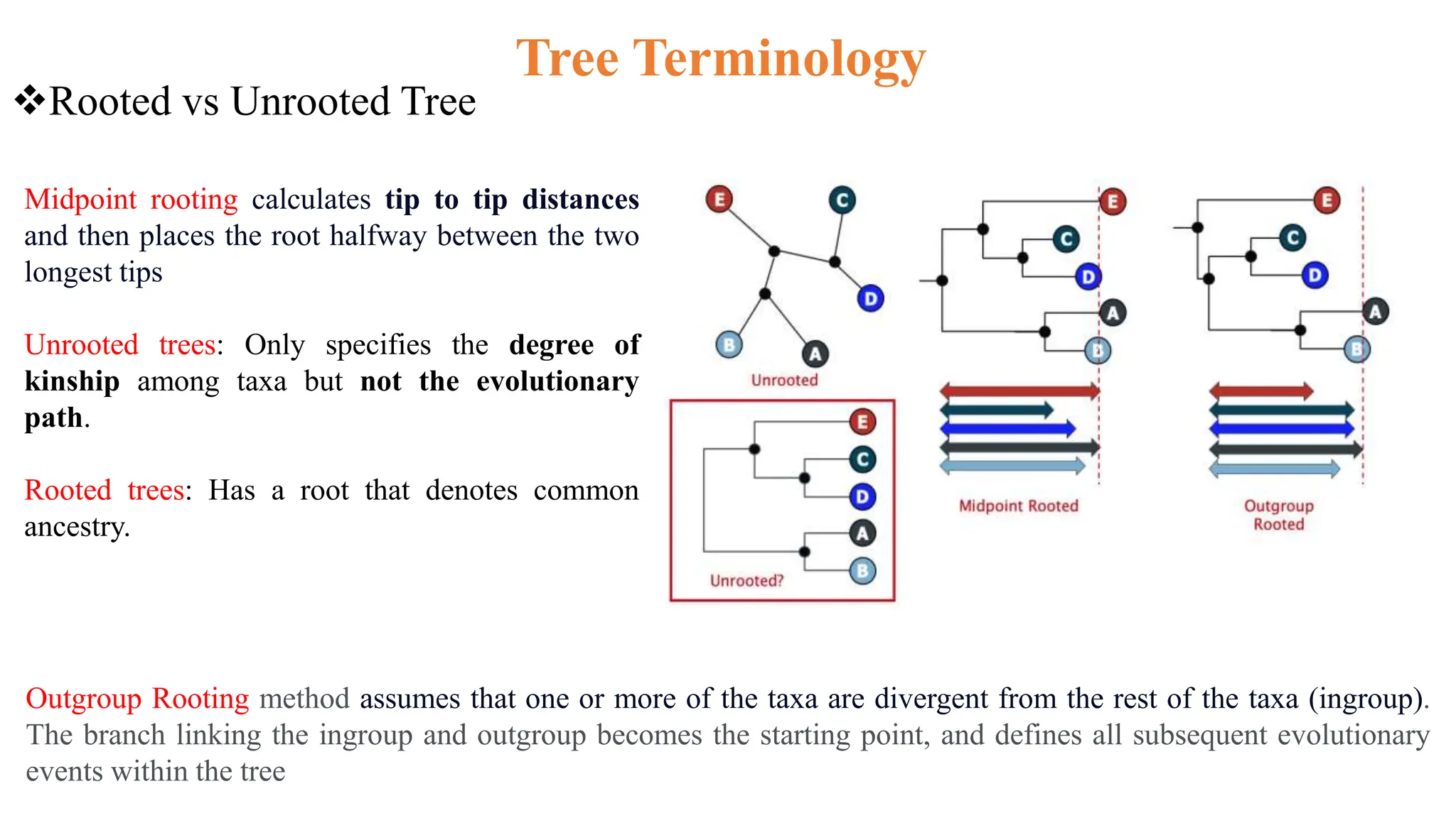 Bioinformatics presentation shabir .pptx