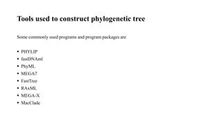 Bioinformatics presentation shabir .pptx