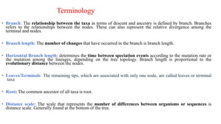 Bioinformatics presentation shabir .pptx