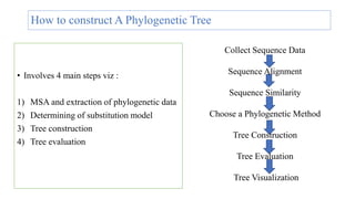 Bioinformatics presentation shabir .pptx