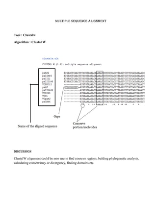 Bioinformatics practical note | PDF | Chemistry | Science