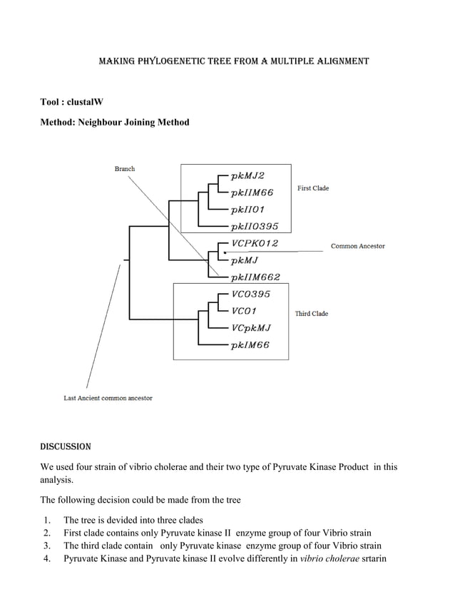 Bioinformatics practical note | PDF | Chemistry | Science