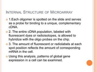 IMMUNOINFORMATICS , MICROARRAY and Machine Learning - All about ...