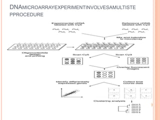 IMMUNOINFORMATICS , MICROARRAY and Machine Learning - All about Immunology, Immunological ...