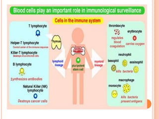 IMMUNOINFORMATICS , MICROARRAY and Machine Learning - All about Immunology, Immunological ...