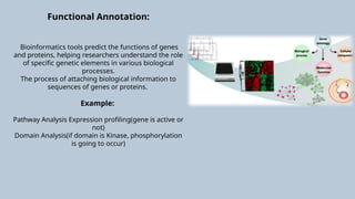 Bioinformatics presentation 2nd semester. Roll no, 13,14.pptx