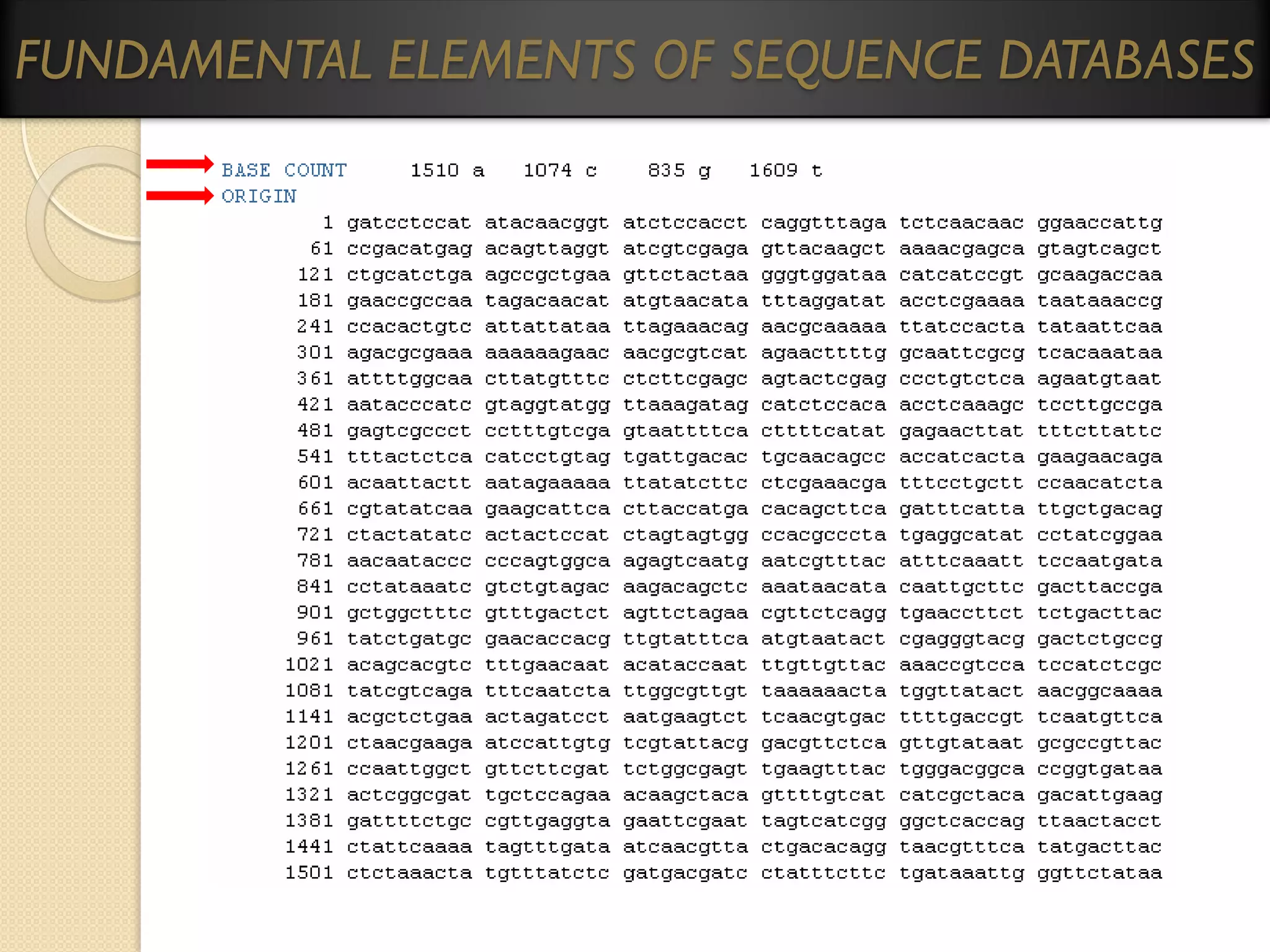 Bioinformatics Principles And Applications Pdf