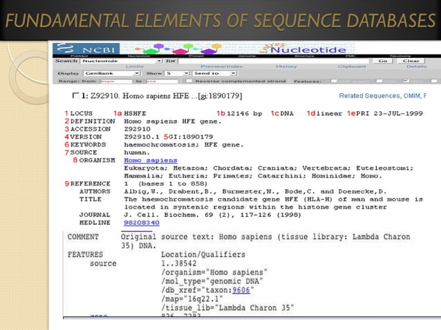 Bioinformatics principles and applications | PDF