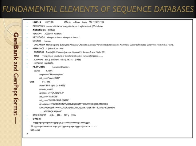 Bioinformatics Principles And Applications Pdf